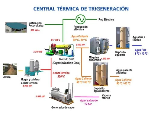 Ciclo Simple De Biomasa PDF) Biomasa