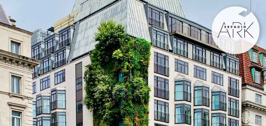 Biofilia en la arquitectura ¿Cuáles son sus principios y sus beneficios ...