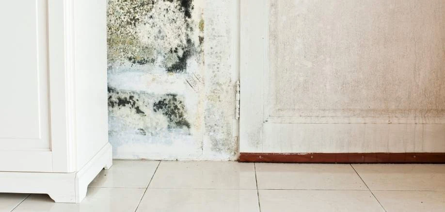 Cómo evitar la aparición de humedades y moho en paredes - caloryfrio.com